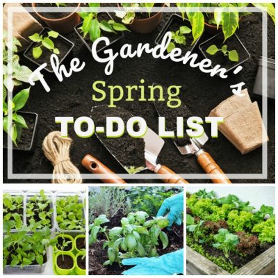 The Gardener’s To-Do List for Spring | Ready Gardens By Ready Nutrition